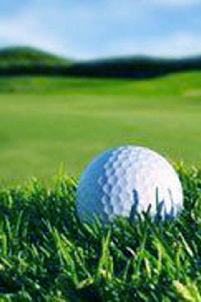 Hole in One Buying A Golf Course Home Pruett Group